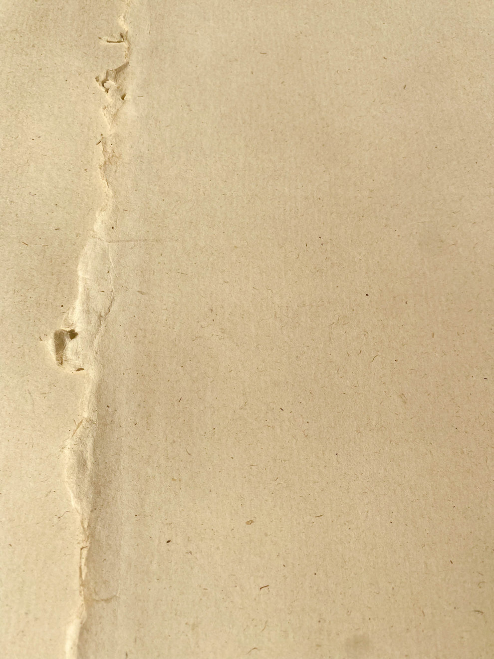 Wasli Paper – KHAM SPACE